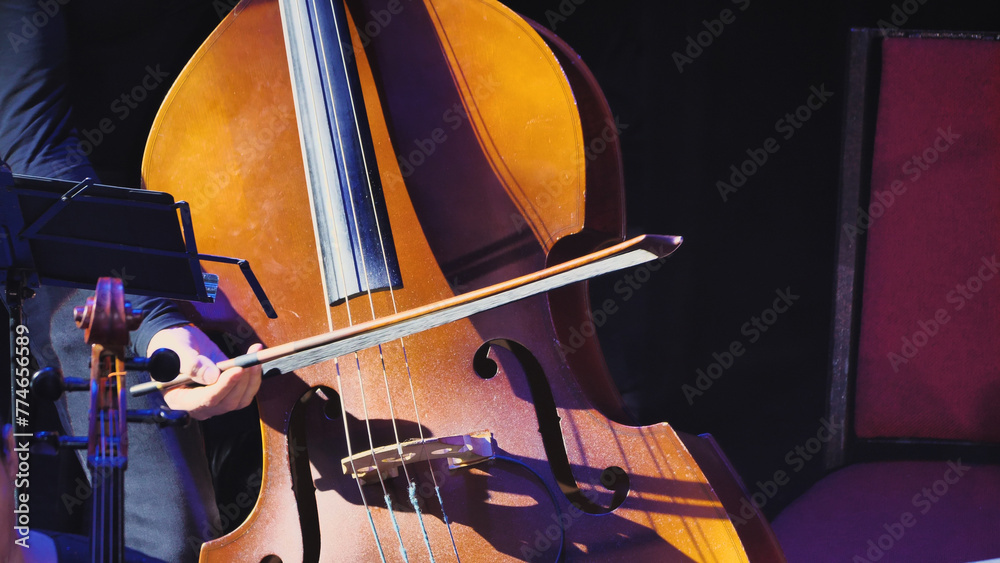 The contrabass stands vertically with its deep brown wooden body, four ...