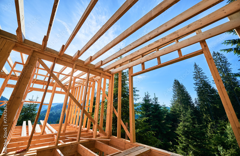 Residential wooden frame building in progress near a forest. Start of ...