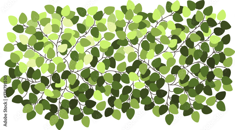 Bush for architectural floor plans. Entourage design. Top view tree for ...