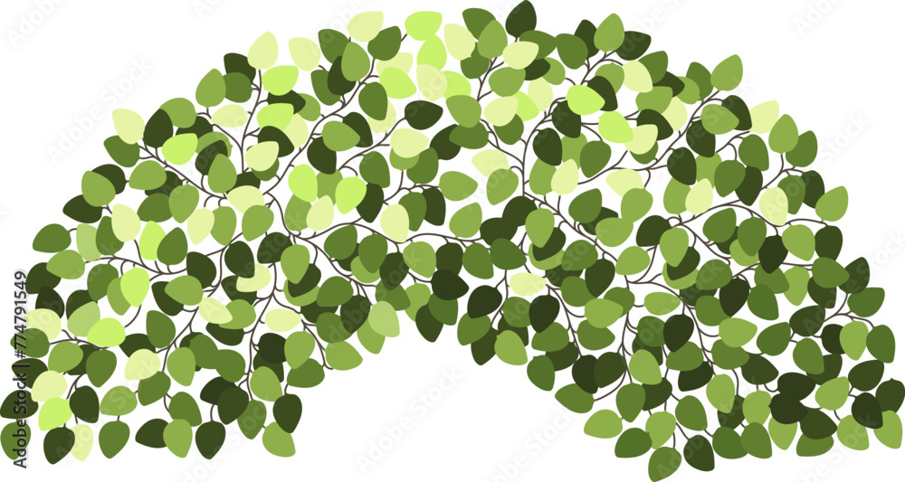 Bush for architectural floor plans. Entourage design. Top view tree for ...