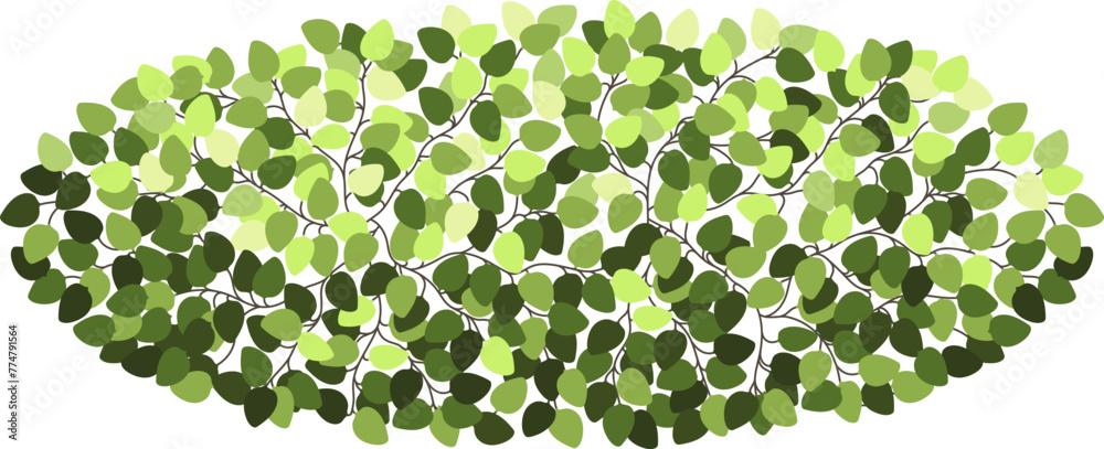 Bush for architectural floor plans. Entourage design. Top view tree for ...