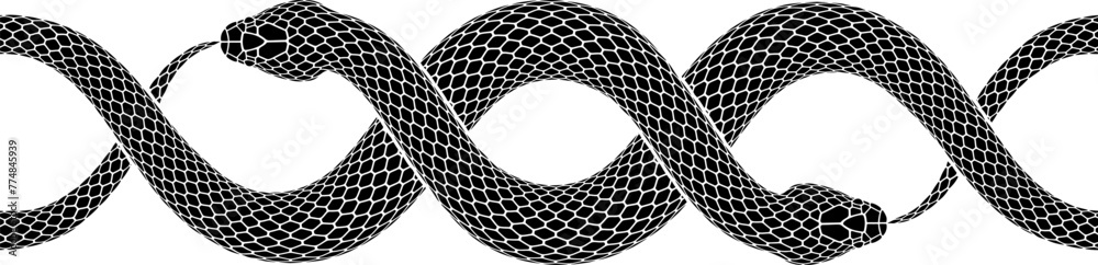 Fényképezés Vector tattoo design of two intertwined black snakes biting ...