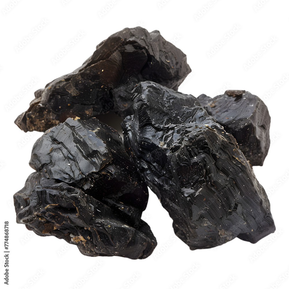 Shilajit Asphaltum Ayurveda herb natural medicinal remedy ingredient ...