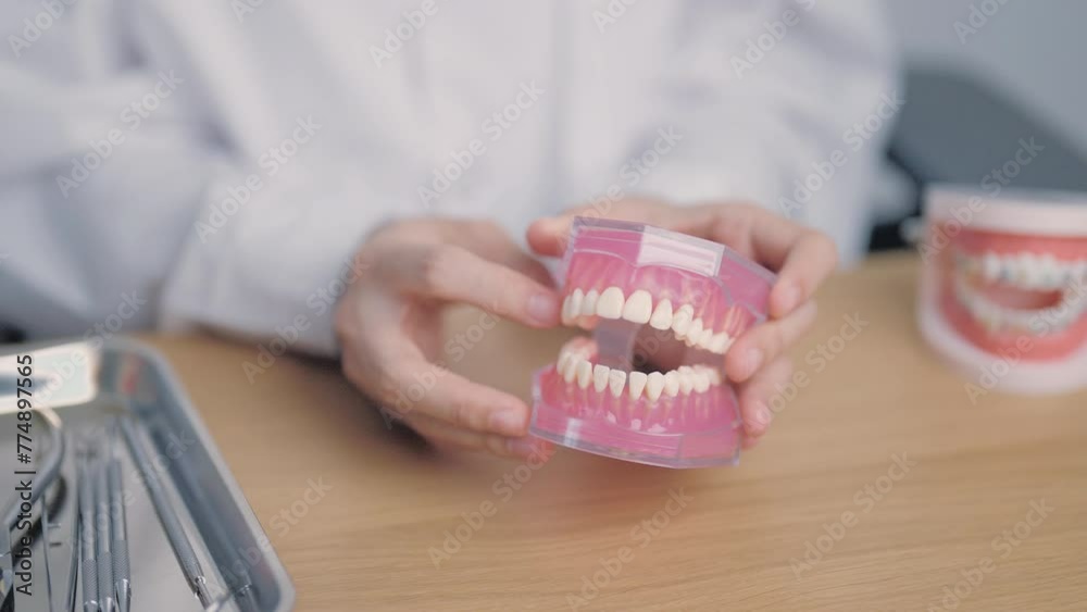 Dentist with tooth Anatomy model. Oral Teeth and disease, Scrape off ...