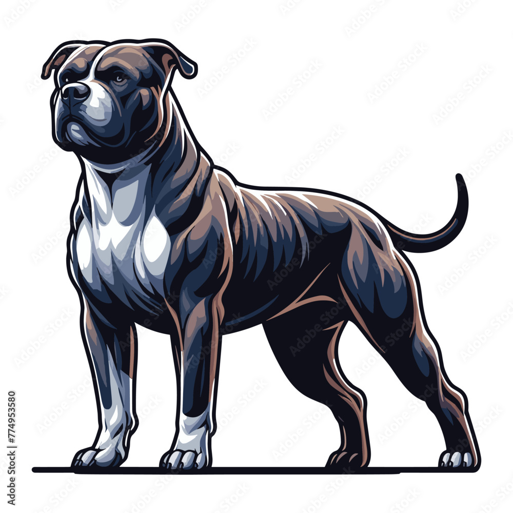 Pitbull bulldog full body design illustration, Full-length portrait of ...
