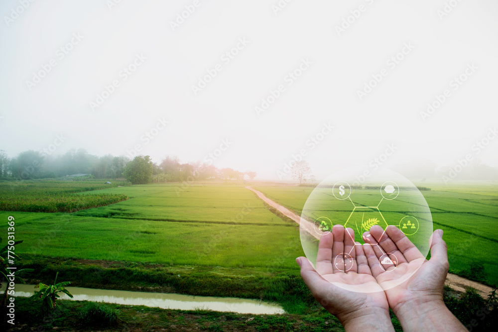 Smart farming ,agriculture concept.Integrated farming system with ...