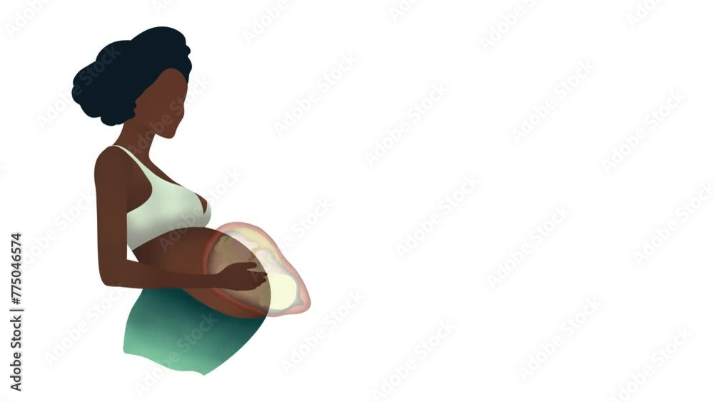 Pregnant woman, fetus inside the womb, Pregnant woman's belly inside ...