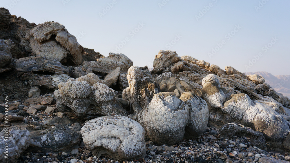Crisp dawn light bathes the textured salt formations of the Dead Sea ...