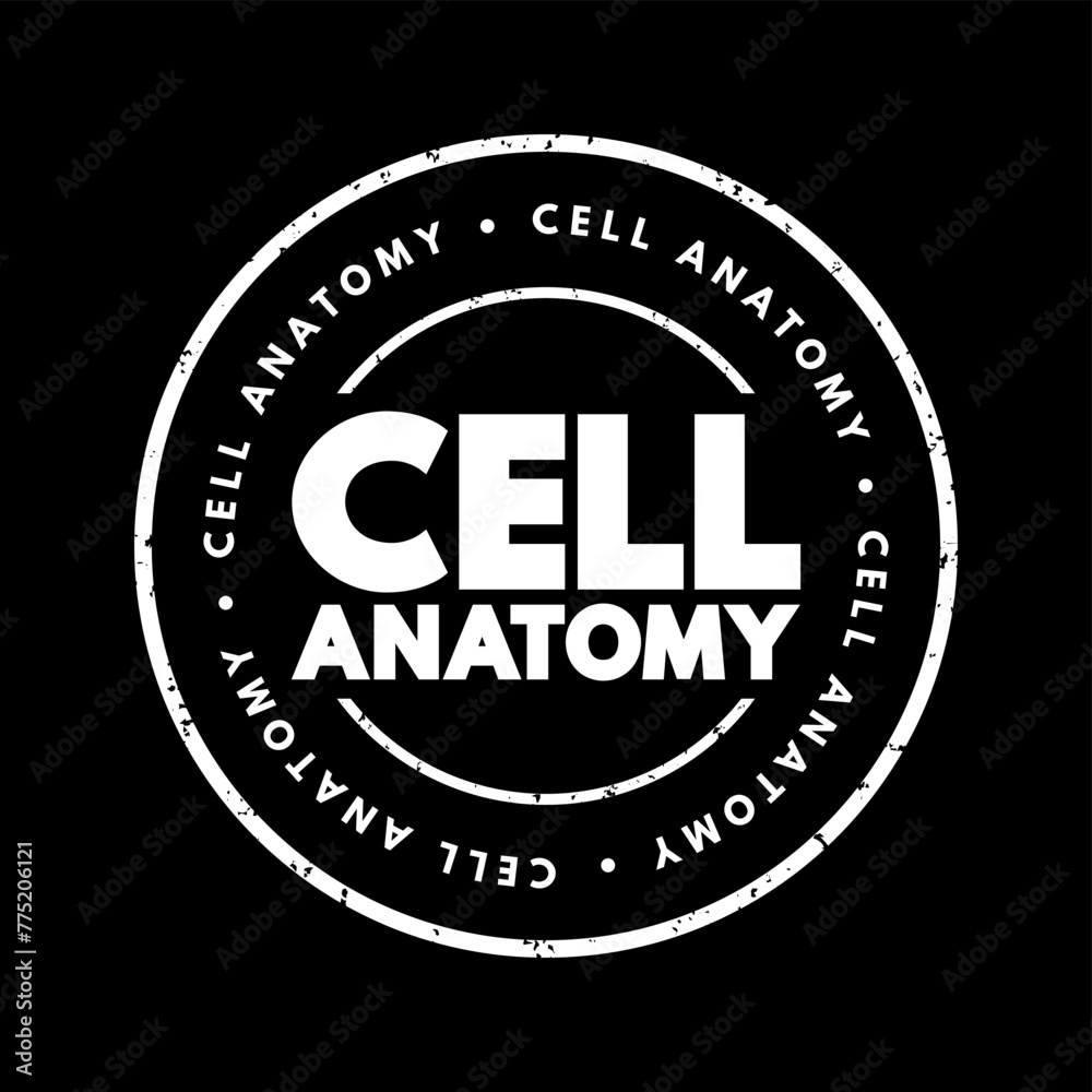 Cell anatomy - consists of three parts: the cell membrane, the nucleus ...