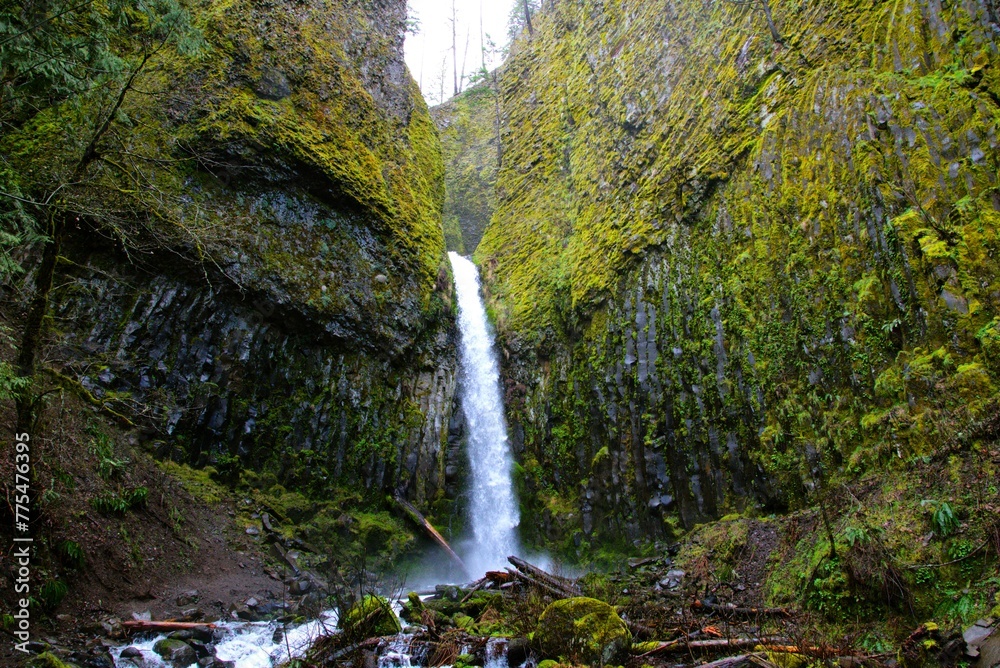 Side view of waterfall cascading down between to massive mossy basalt ...