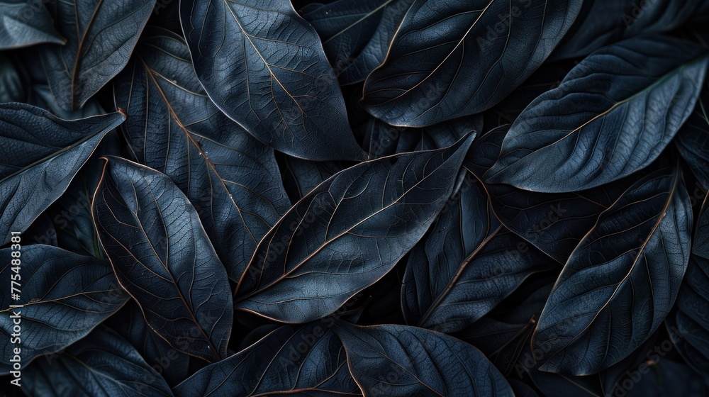 Dark botanical wallpaper with close-up view of vibrant blue leaves ...