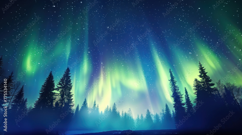 Beautiful northern lights in the starry night sky. Aurora Borealis over ...
