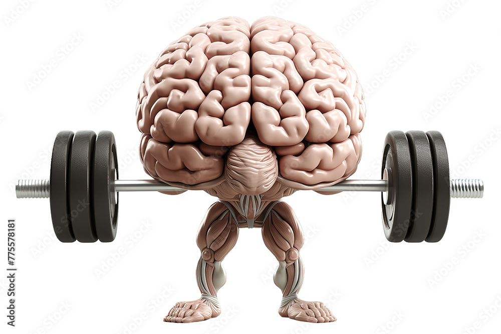 Human brain lifting weight . Private lessons and knowledge concept ...