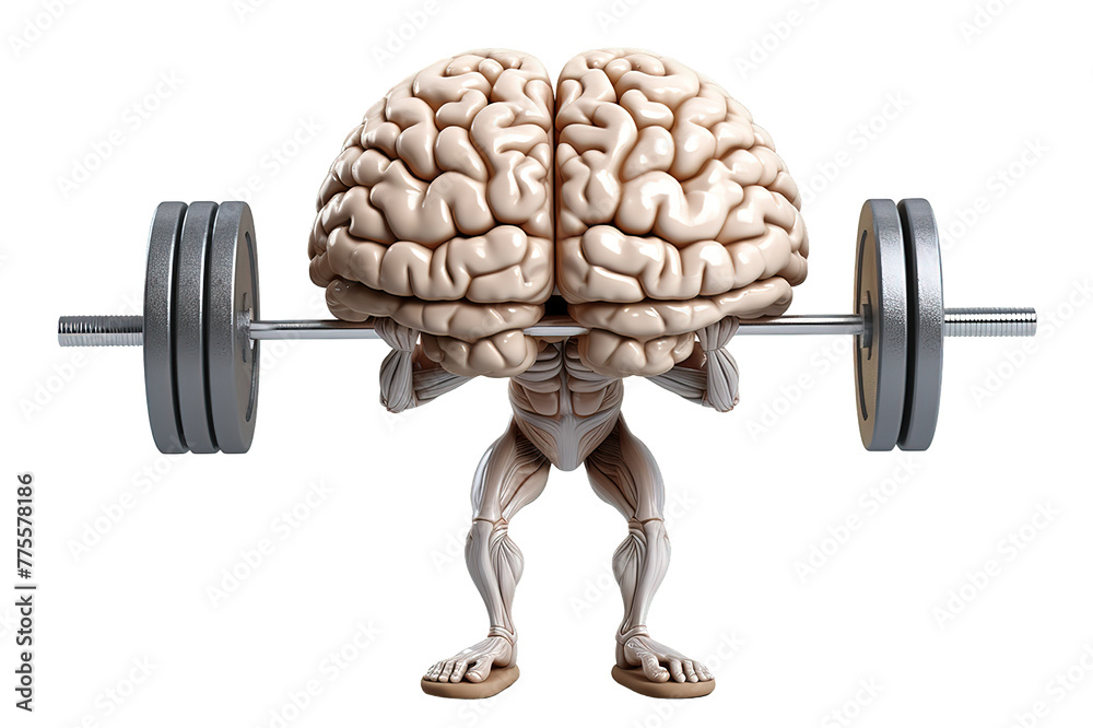 Human brain lifting weight . Private lessons and knowledge concept ...