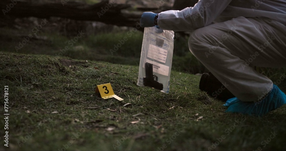 Crime scene, gun and investigator with evidence outdoor for forensics ...