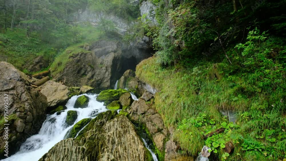 A beautiful, green lush ravine, where the stream comes out of a cave in ...