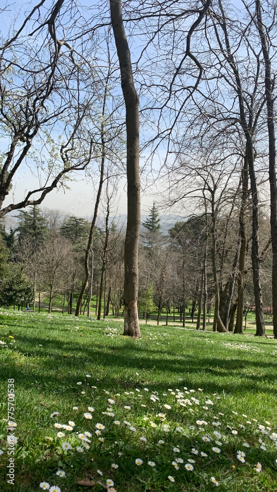 Beautiful spring garden, famous turkish park Emirgan Korusu in Istanbul ...