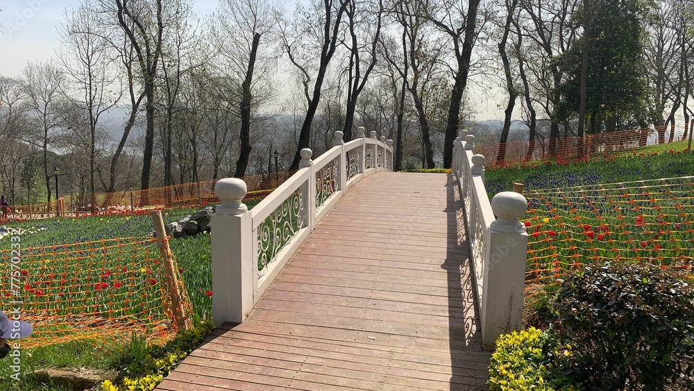 Beautiful spring garden, famous turkish park Emirgan Korusu in Istanbul ...
