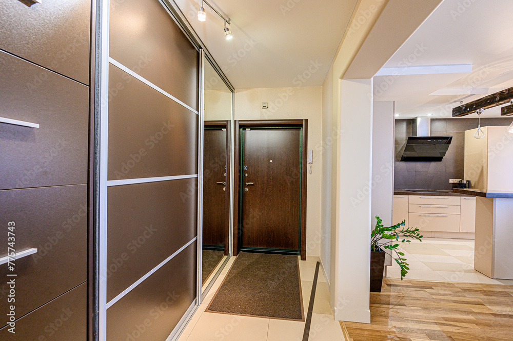 standard room interior apartment. room doors, renovation corridor lobby ...
