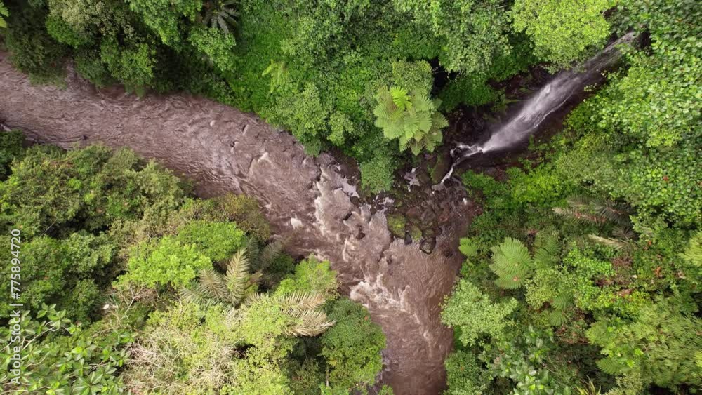 Waterfall and shallow stony river buried in tropical jungles, large ...