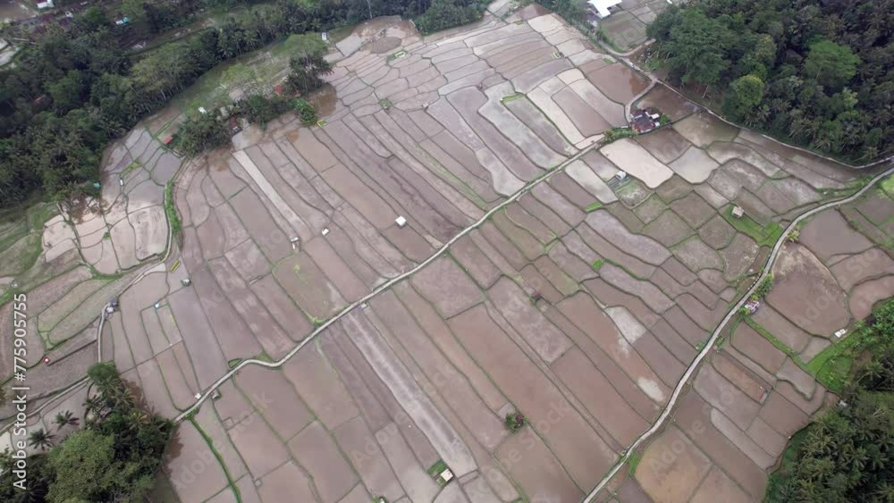 Open area with many ploughed and flooded fields, rice plantations were ...