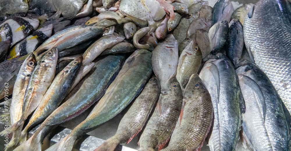 Foto de Bandar Abbas, Iran. Fish market. The fish of the Persian Gulf ...