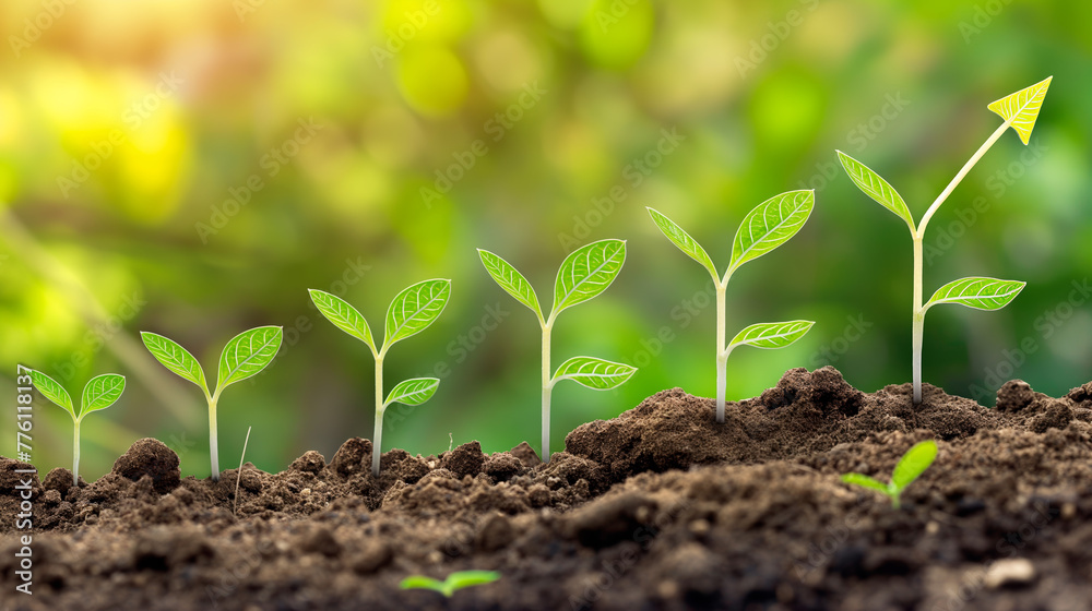 Sequence of young saplings in rich soil with superimposed symbols of ...