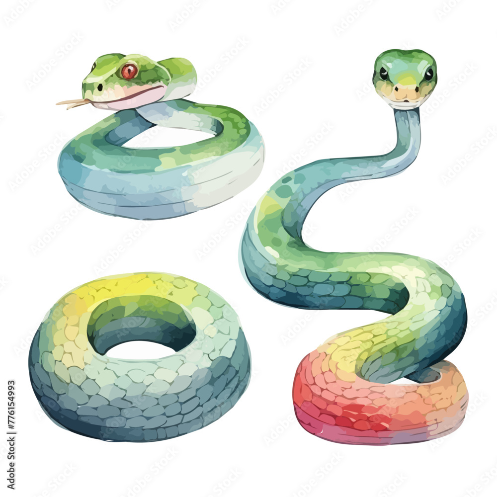 Watercolor Graphic vector of a Snake, isolated on a white background ...