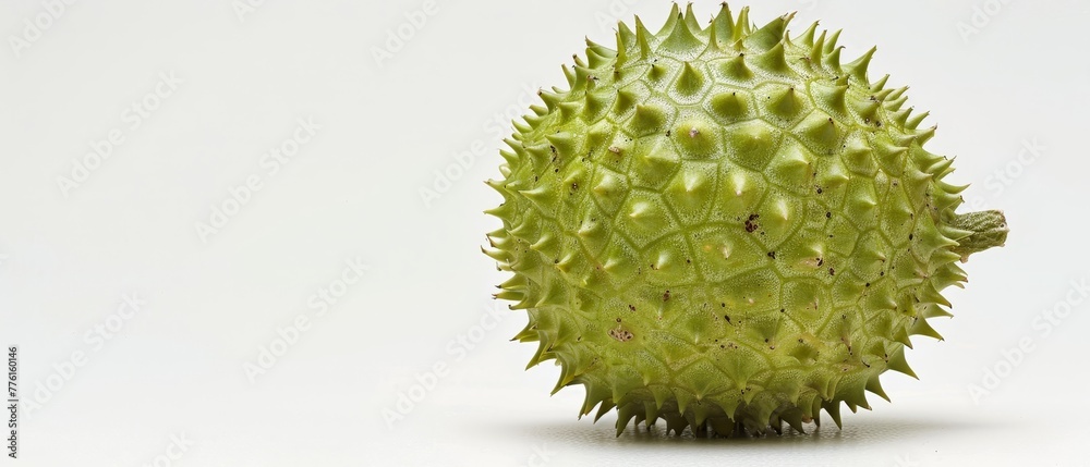 A detailed view of a spiky fruit against a pristine white backdrop ...