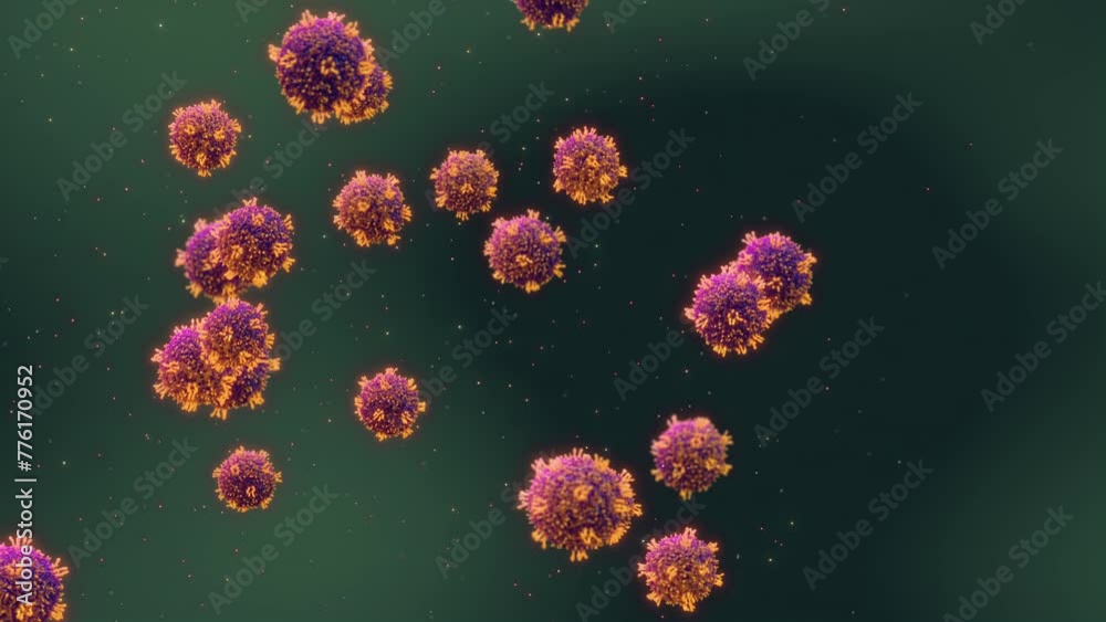 Measles viruses in the blood. Measles also known as morbilli and ...