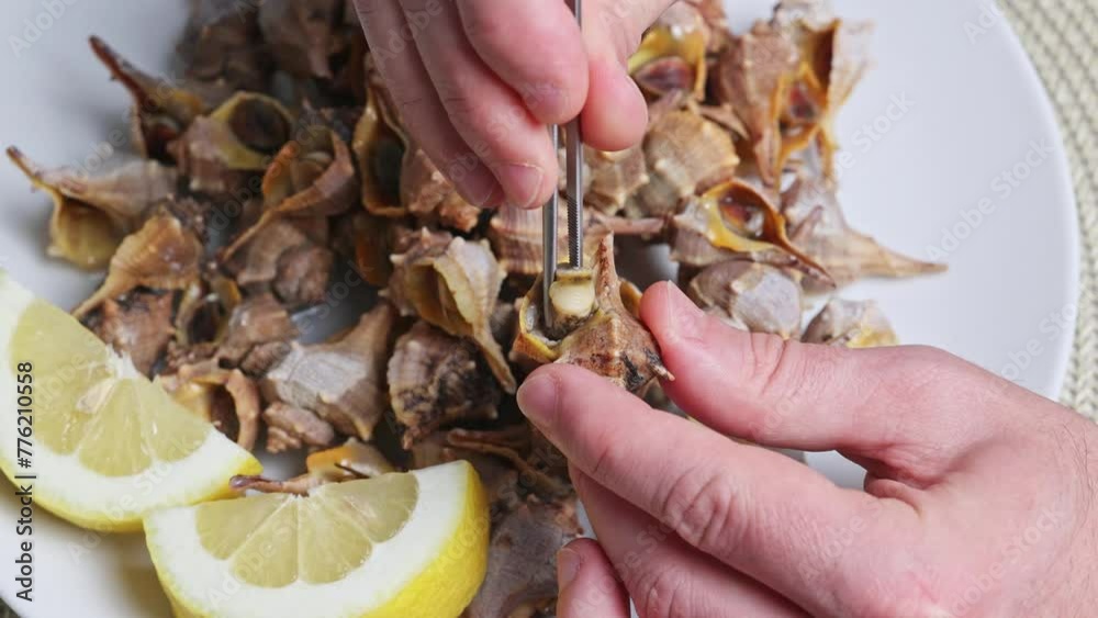 Close-up of male hands pulling a clam out of a shell. Canailli sea ...