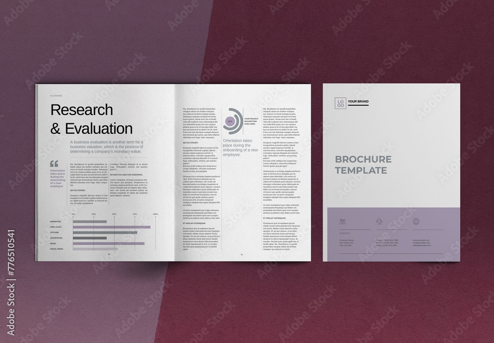 Business Brochure Layout Stock Template Adobe Stock