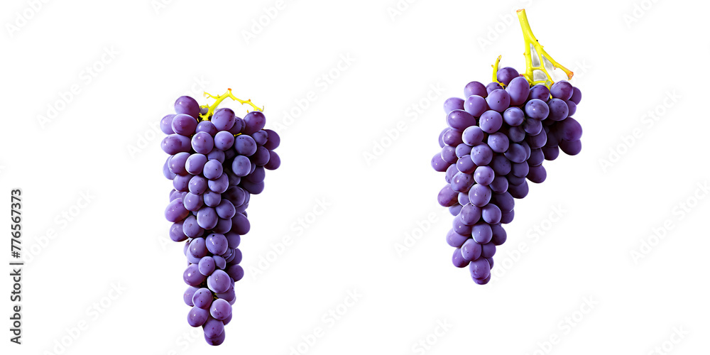 Purple grape cluster Transparent Background Images Stock Photo | Adobe ...
