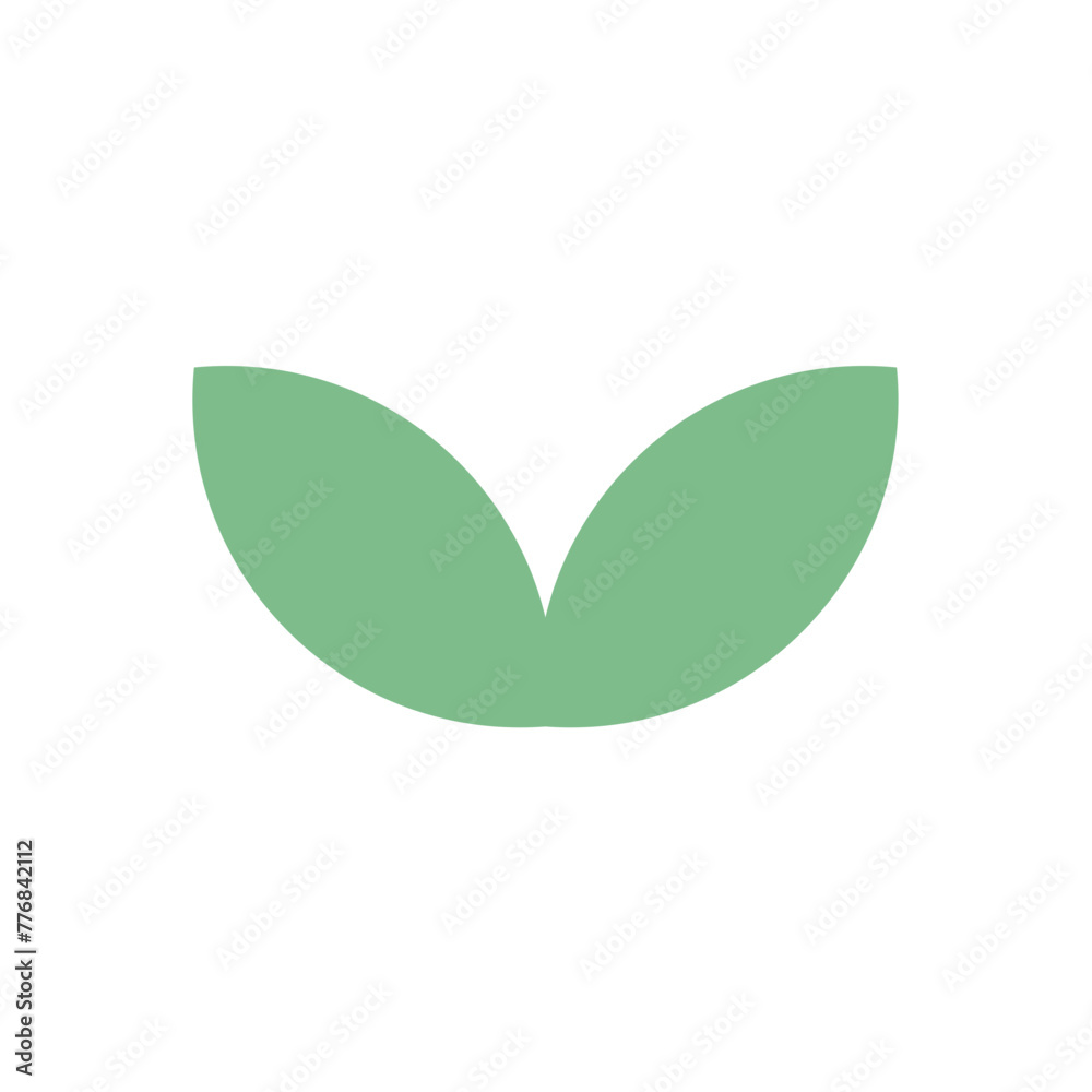 A green leaf with a white background. The leaf is open and has a green ...