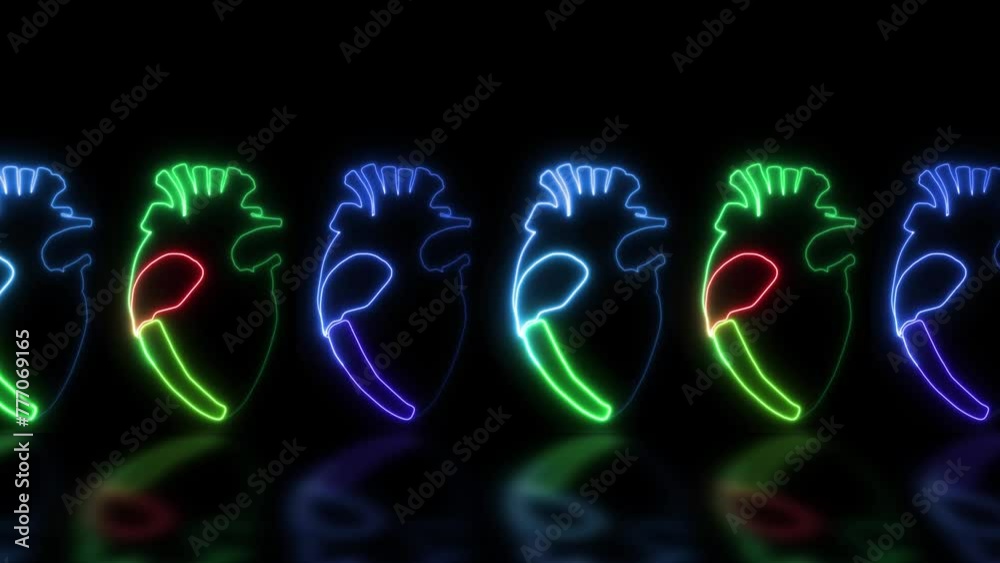 Colorful Neon Heart Beat Animation Medical Science Background. Human ...