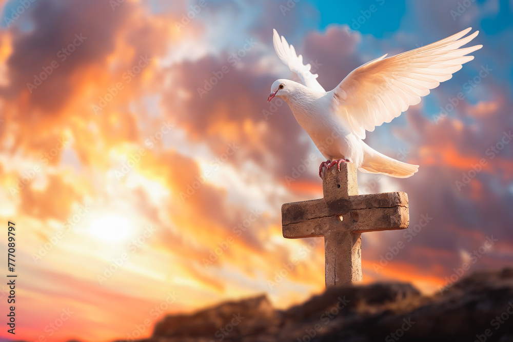 White dove with spread wings standing over the holy cross of Jesus Christ symbolize death and ...