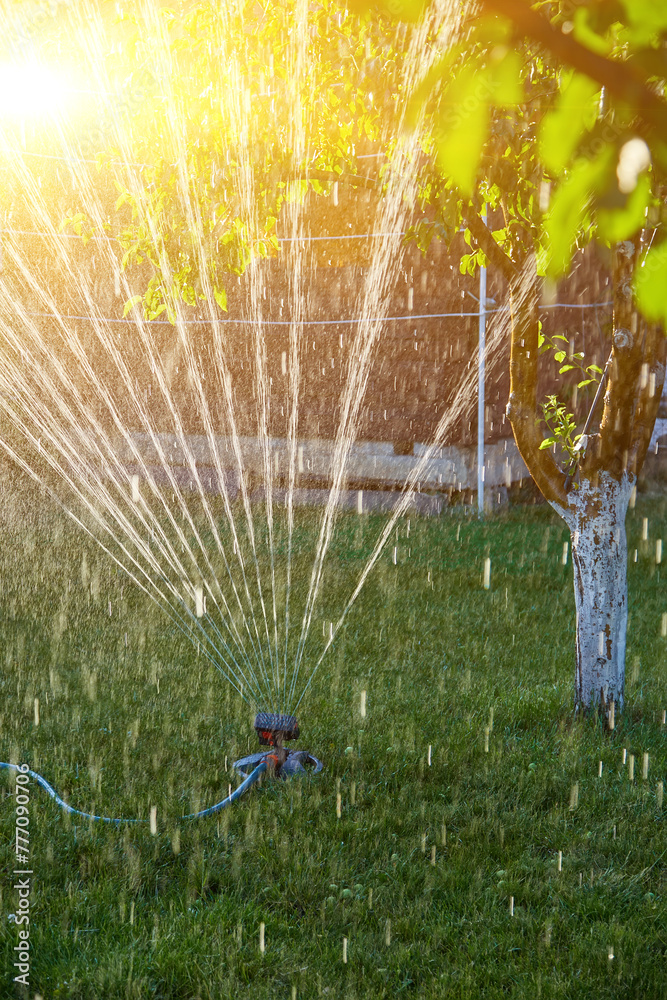Automatic garden watering system with different sprinklers installed ...