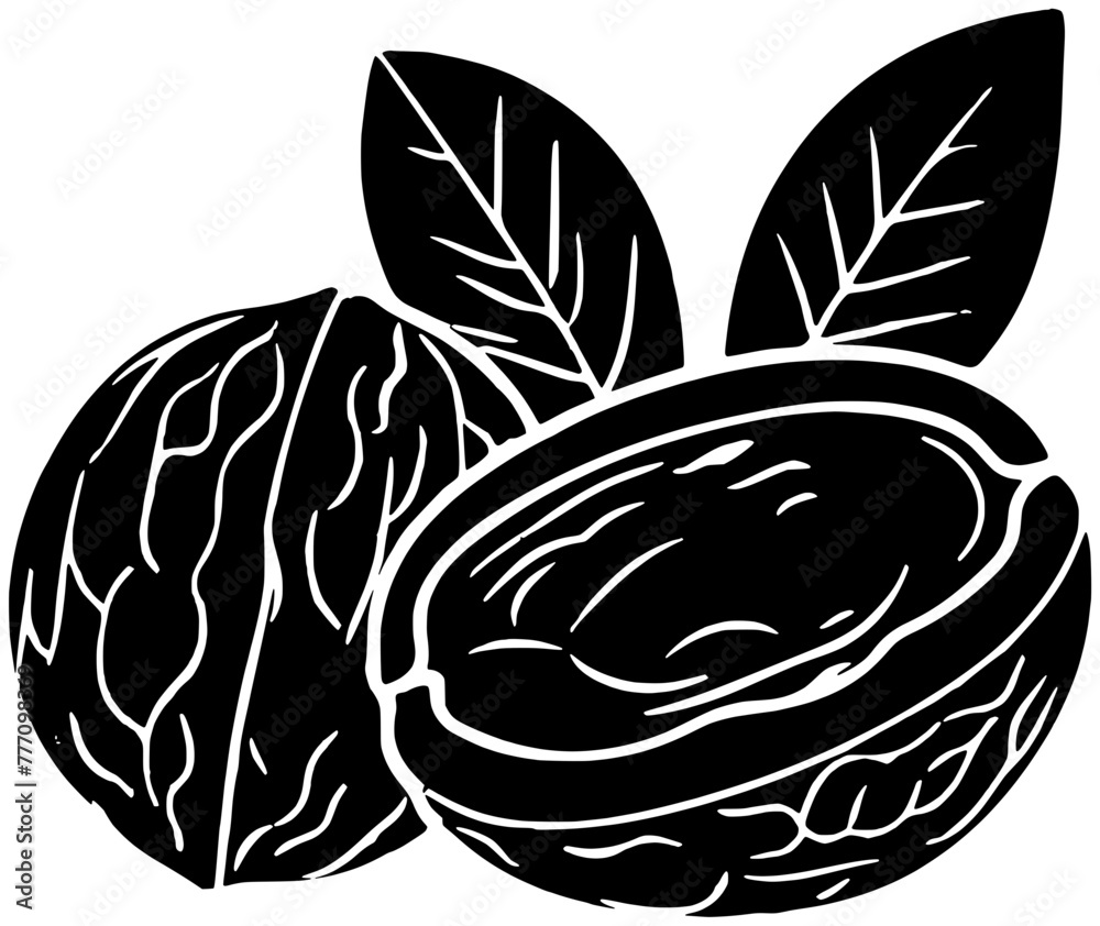 walnut illustration hazelnut silhouette pecan logo nut icon healthy ...