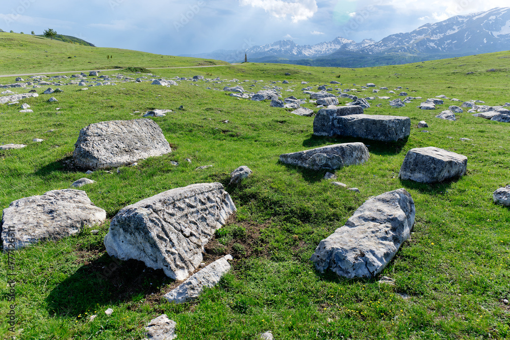 Stecci Medieval Tombstones Graveyards in Zabljak, Montenegro. Historic ...