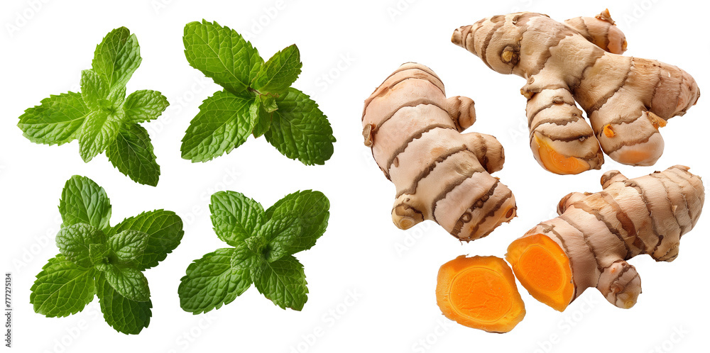 Set wit Fresh Organic Long Turmeri c root (Haldi, Curcuma) and ...