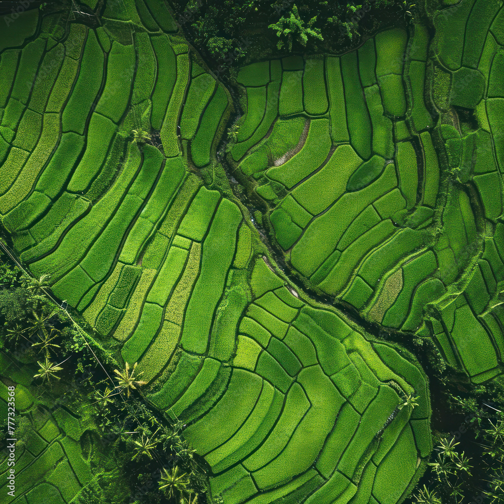 Immerse yourself in the intricacies of agriculture with a medium ...