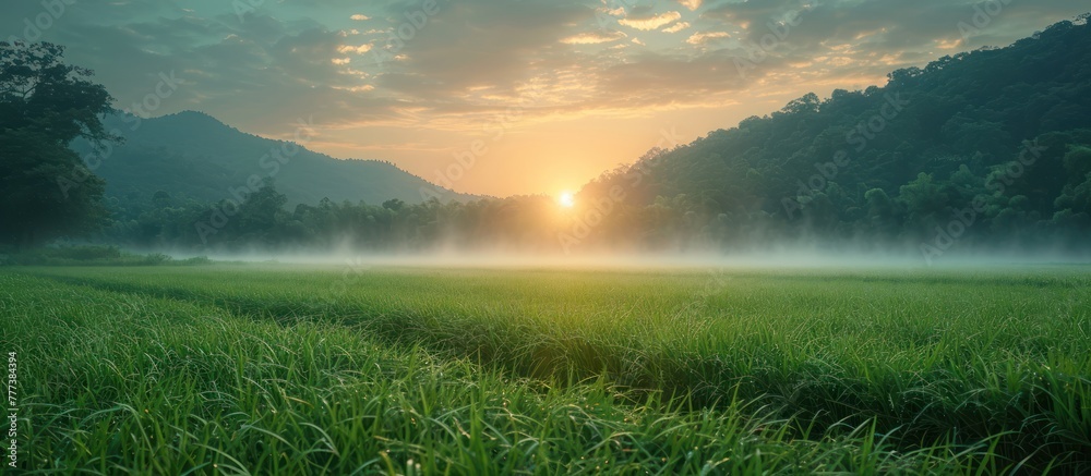 The concept of irrigating rice fields uses a pump with the technique of ...