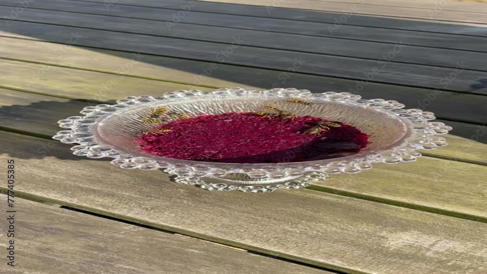 Vidéo Stock Many wasps sit in a bowl of jam and eat, aggressive ...
