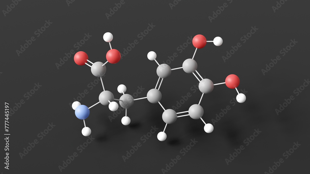 levodopa molecular structure, l-dopa, ball and stick 3d model ...