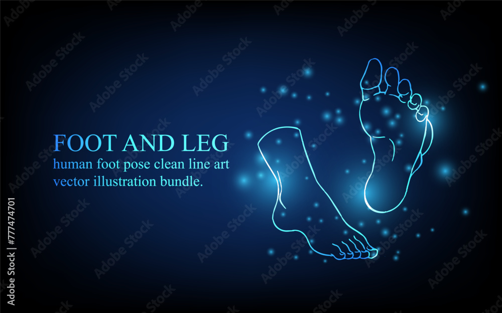 Human foot line, foot and leg, knee and toe, digital business concept ...
