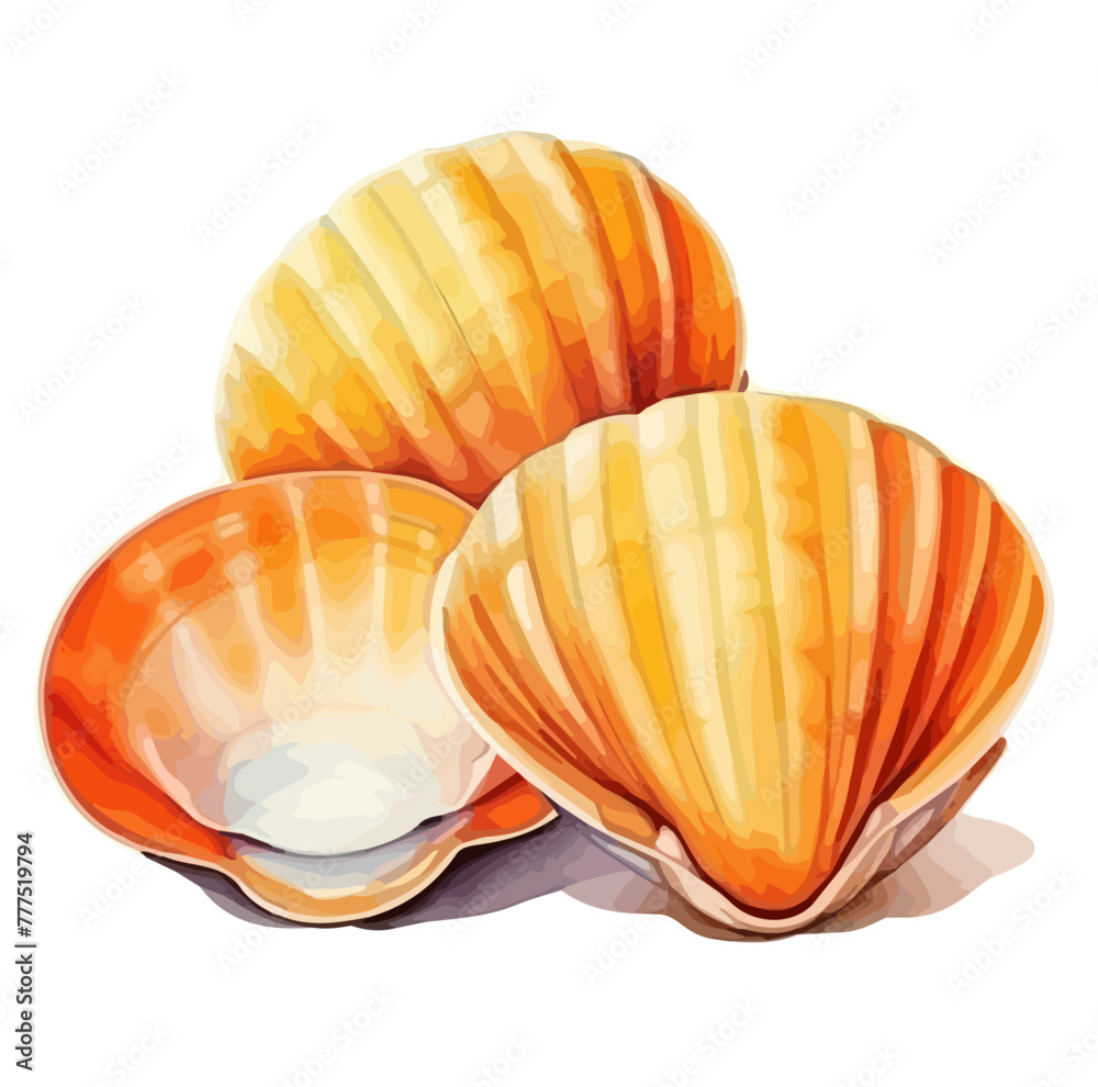 Watercolor clipart vector of a yellow seashell (sea shell), isolated on ...