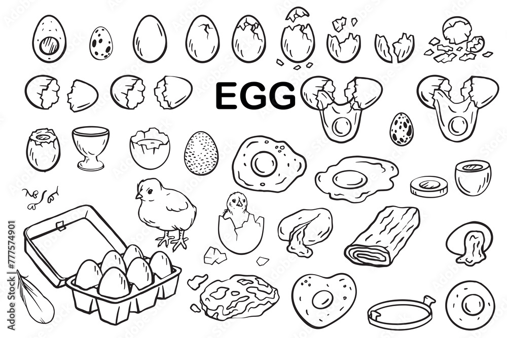 Egg Big doodle vector set. eggs, eggshell, fried eggs, chicks, omelette ...