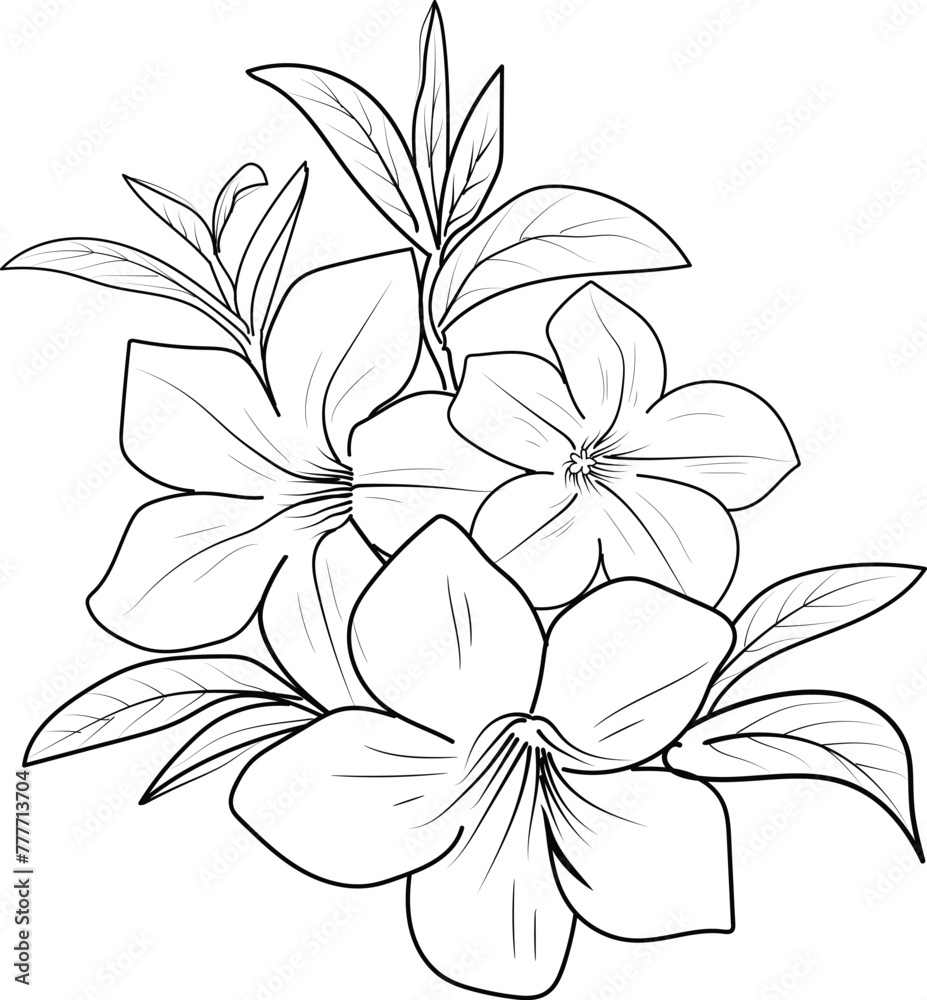 Hand-drawn botanical summer elements natural collection, Allamanda ...