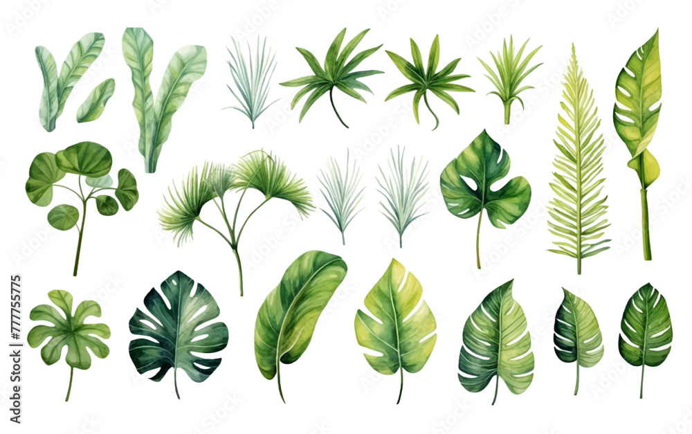 Set Collection Watercolor tropical leaves Modern green tropical leaves ...