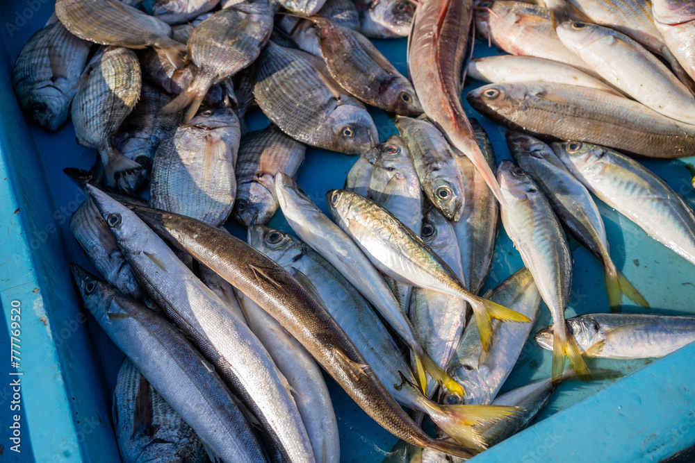 Pile Of Fresh Fish In The Street Market In The Port. Stock Photo ...
